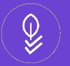 English Bill page - ADDCPage